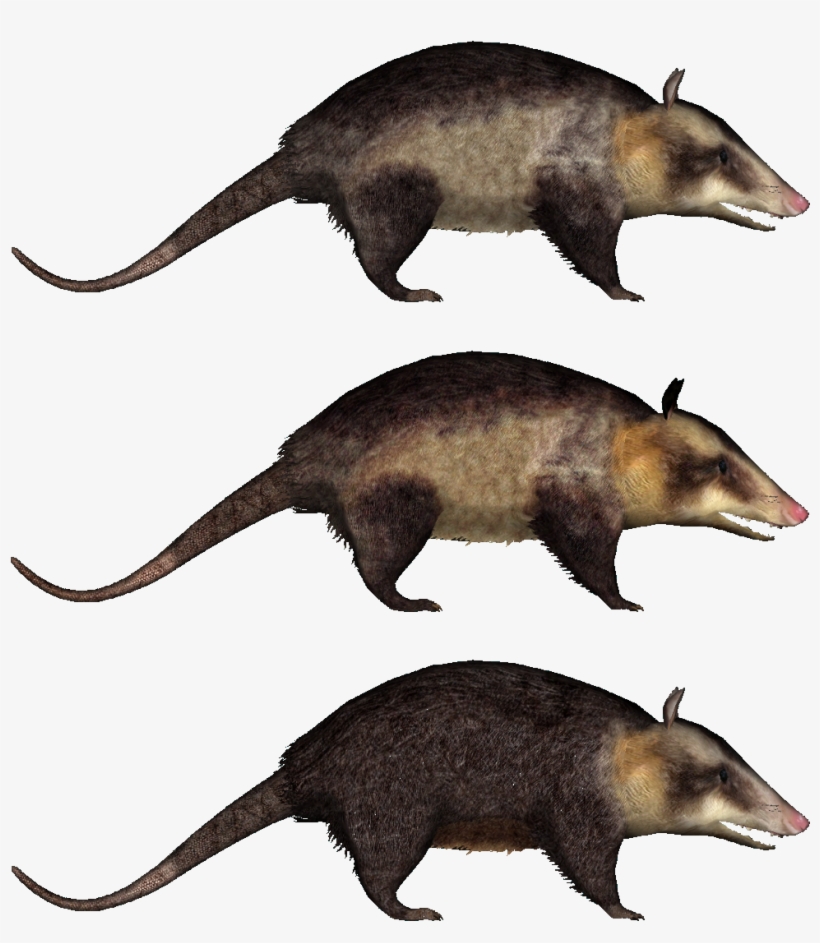 Spoiler - Free Transparent PNG Download - PNGkey