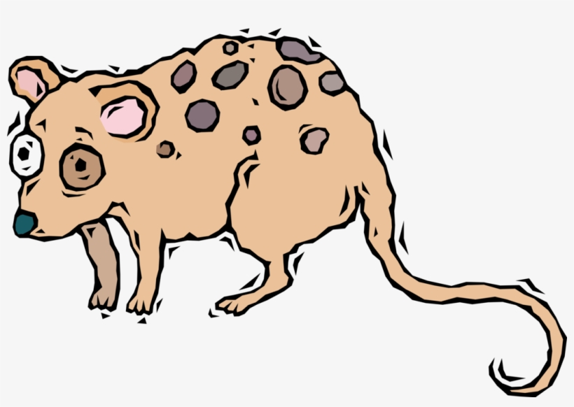 Vector Illustration Of Starry-eyed Opossum - Free Transparent PNG ...