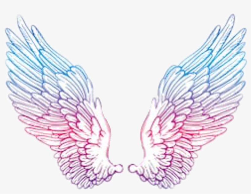 Angelwings Wings Angel Blue Pink Purple Tumblr Trend - Free Transparent ...