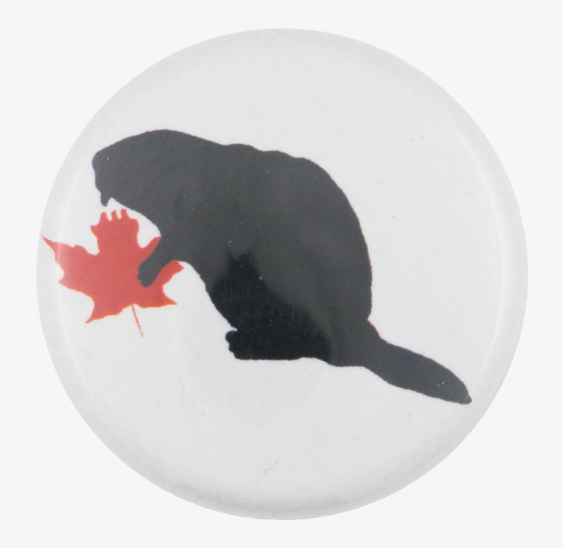 Beaver With Red Leaf - Garibaldi (fish) - Free Transparent PNG Download ...