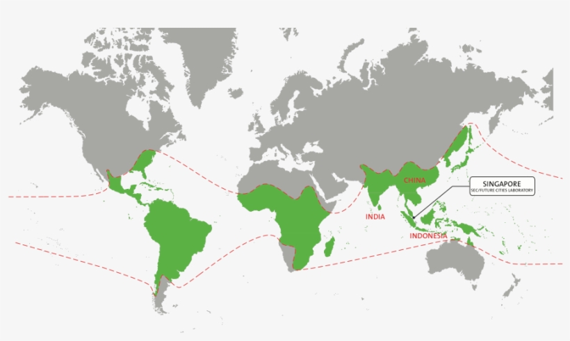 Bamboo In Green Design - World Map Single Color - Free Transparent PNG ...