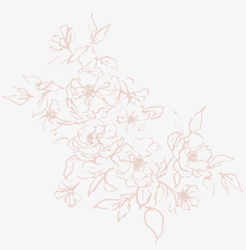 Illustration Light Pink High Res - Sketch - Free Transparent PNG ...