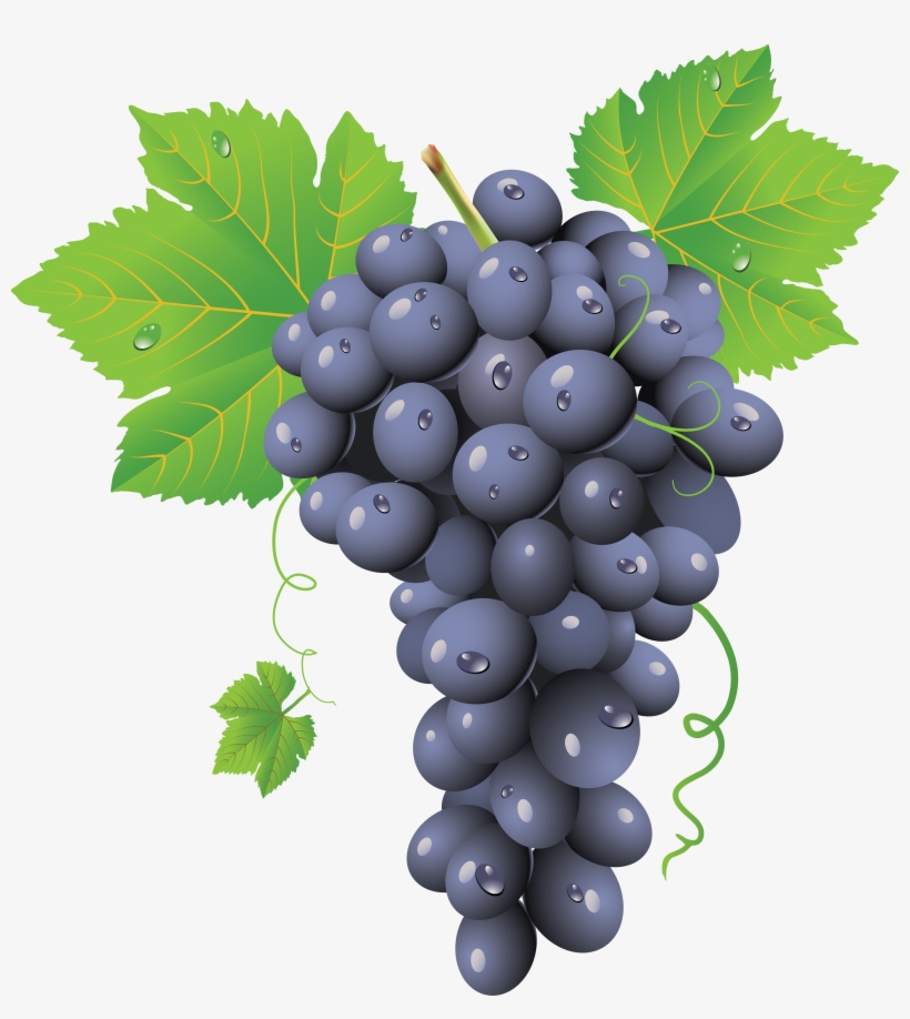Une Grappe De Raisin - Free Transparent PNG Download - PNGkey