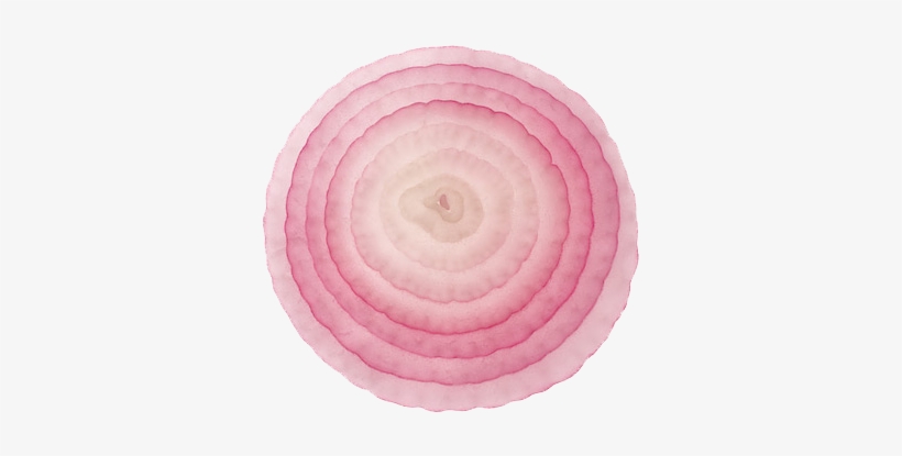 Onion Slice Png File - Onion Slice Png - Free Transparent PNG Download ...