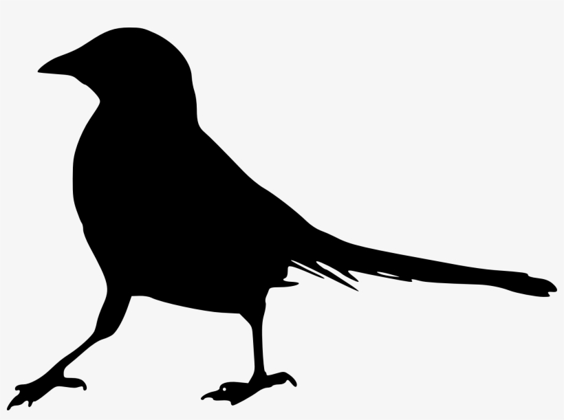 Free Download - Bird Silhouette Transparent Background - Free ...