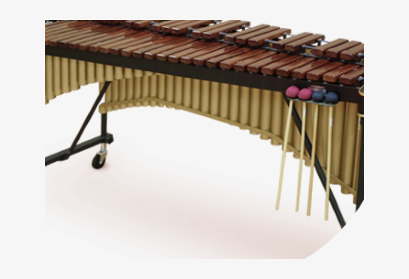 Xylophone Png Transparent Images - Musical Instrument - Free ...