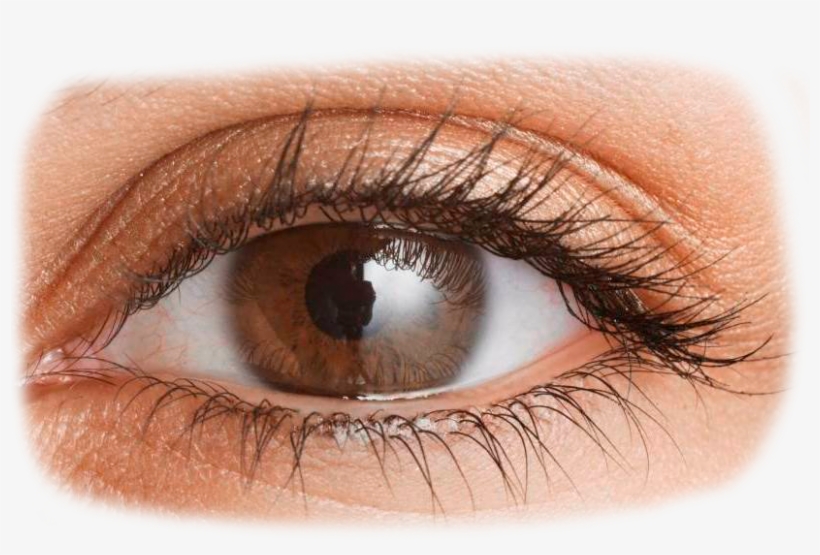 Png Eye - Png Image Of Eye - Free Transparent PNG Download - PNGkey