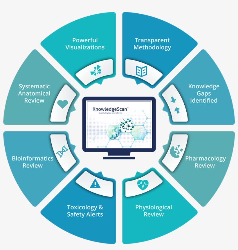 Instem - Basketball Ball Png Vector - Free Transparent PNG Download ...
