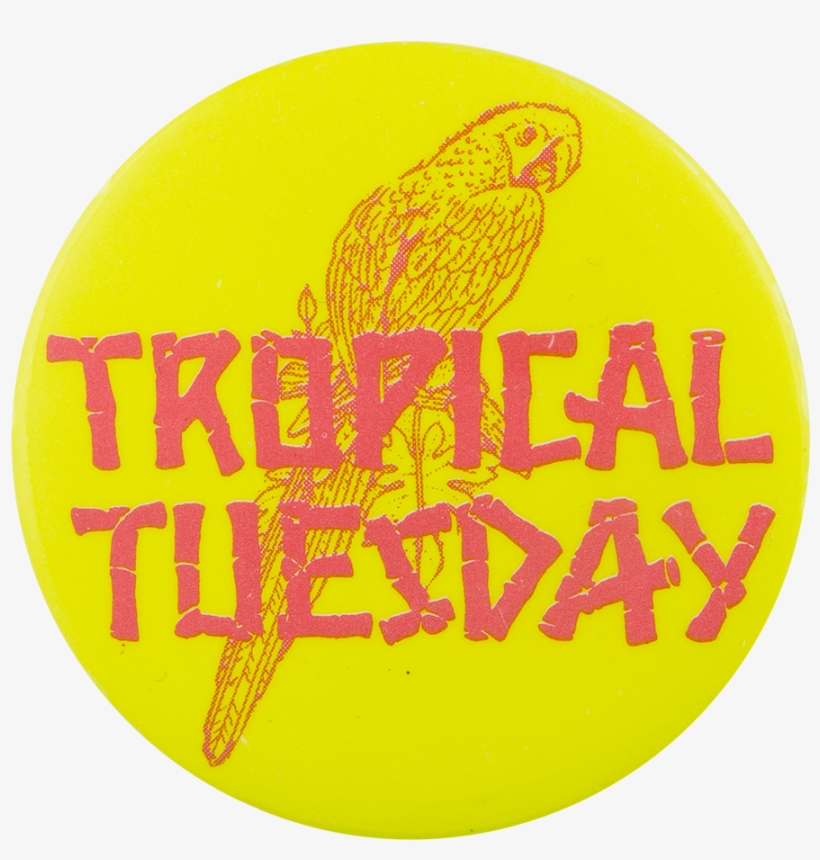 Tropical Tuesday - Circle - Free Transparent PNG Download - PNGkey