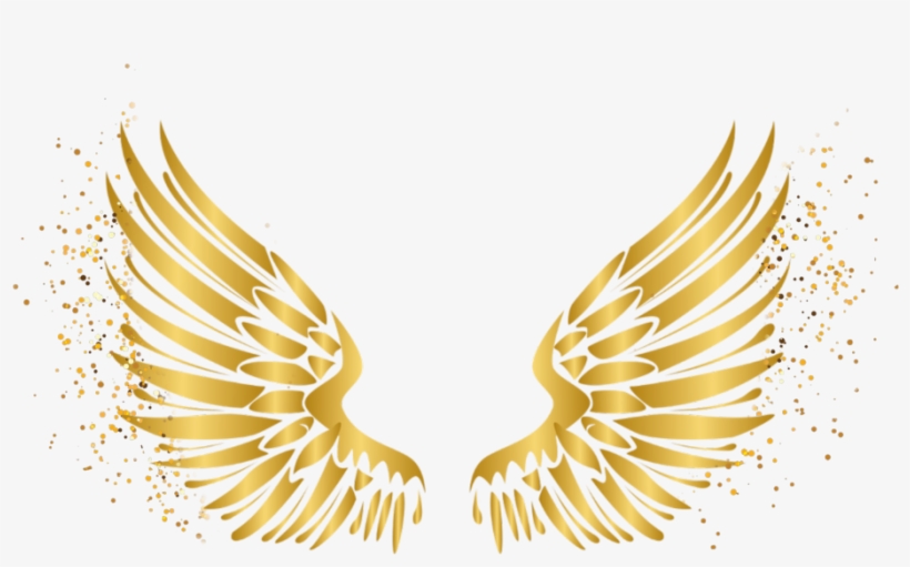 Transparent Wings Vector Png - Free Transparent PNG Download - PNGkey