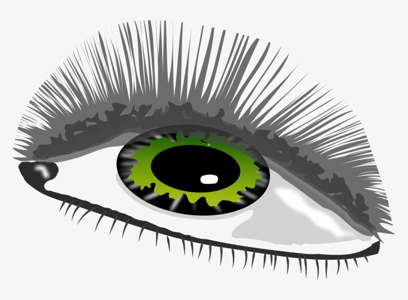 This Png File Is About Vector - Close-up - Free Transparent PNG ...