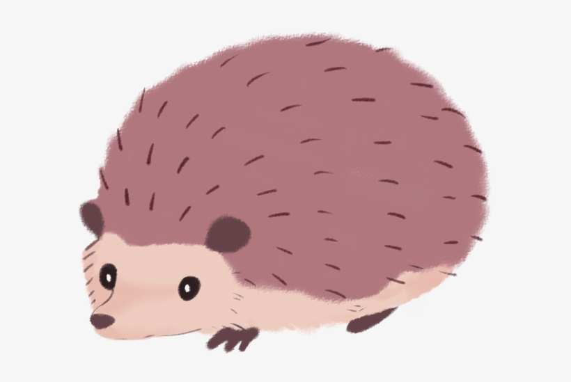 Download Png Image Report - Clipart Hedgehog Transparent Background ...