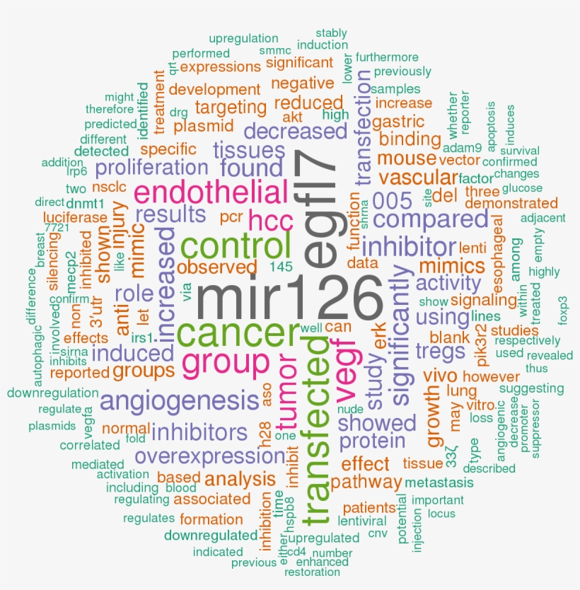 Sort By - Rstudio Word Cloud - Free Transparent PNG Download - PNGkey