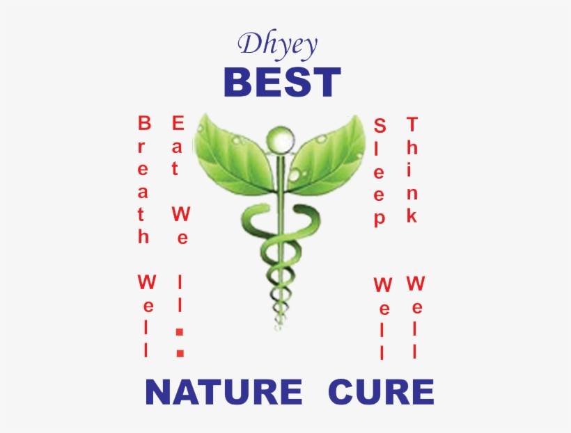 Buy Amaltas / Garmalo / Cassia Fistula / Cassia Fistula-seeds ...