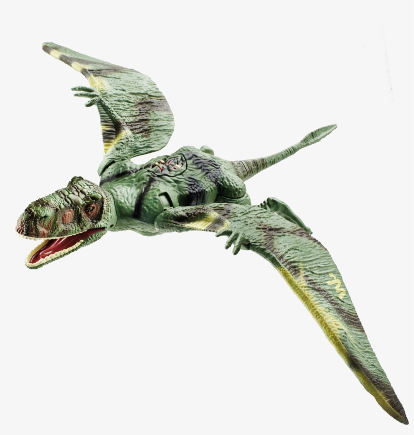 Free Jurassic Park 3 Pterodactyl - Dimorphodon Jurassic Park - Free ...