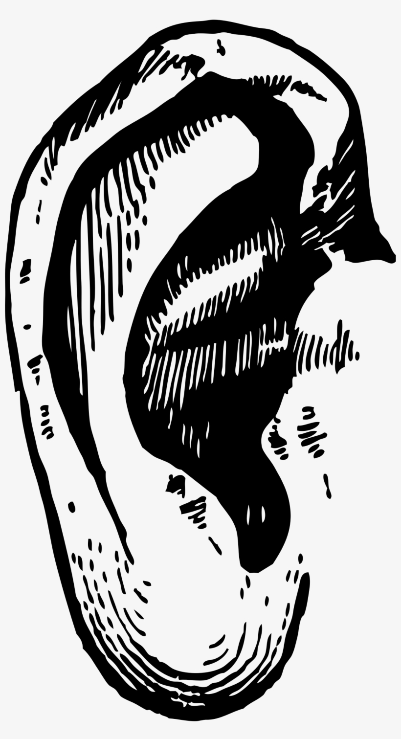 Ear Clipart - Ear Transparent - Free Transparent PNG Download - PNGkey