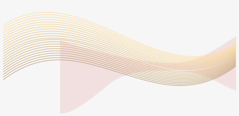 Header Bg - Illustration - Free Transparent PNG Download - PNGkey