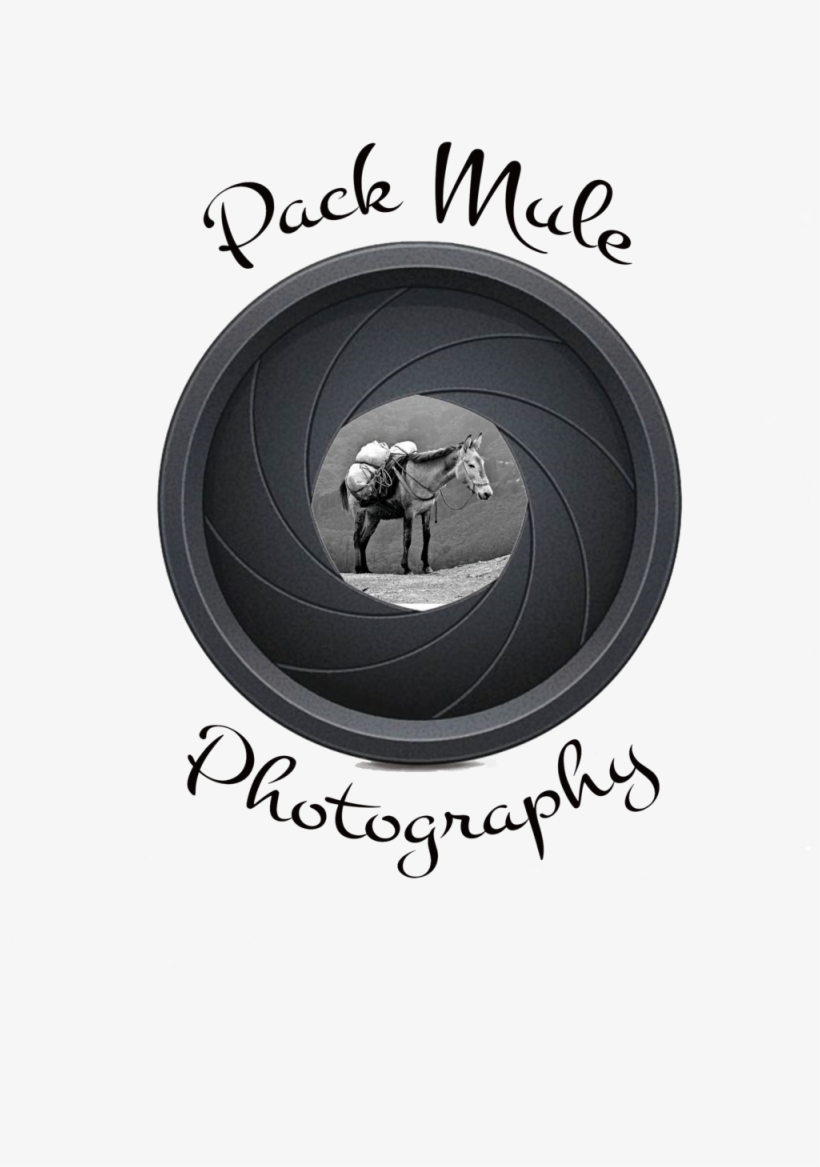 Mule Png - Free Transparent PNG Download - PNGkey