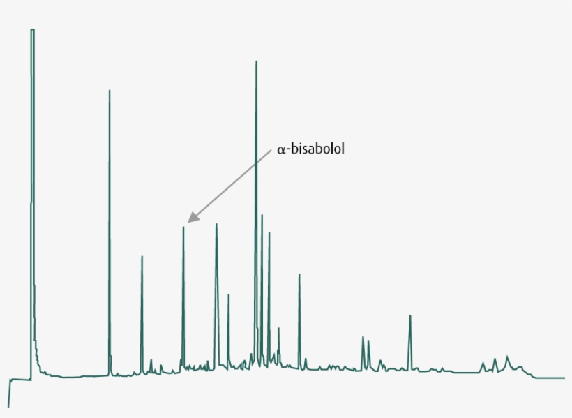 Chamomile Chart - Diagram - Free Transparent PNG Download - PNGkey