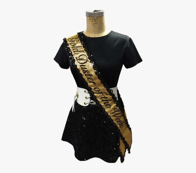 Sash - Costume - Free Transparent PNG Download - PNGkey