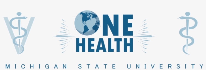 Msu One Health Club - Graphic Design - Free Transparent PNG Download ...
