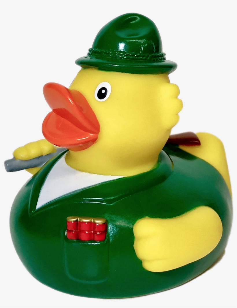 Duck Hunt Duck Png - Free Transparent PNG Download - PNGkey