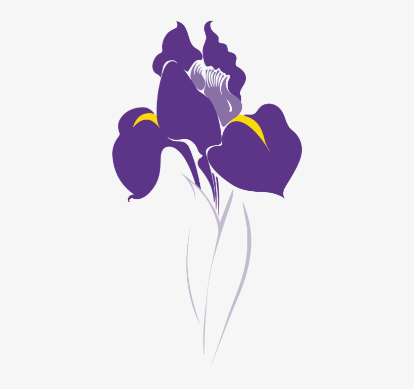 Icon Illustration Development - Iris Vector - Free Transparent PNG ...