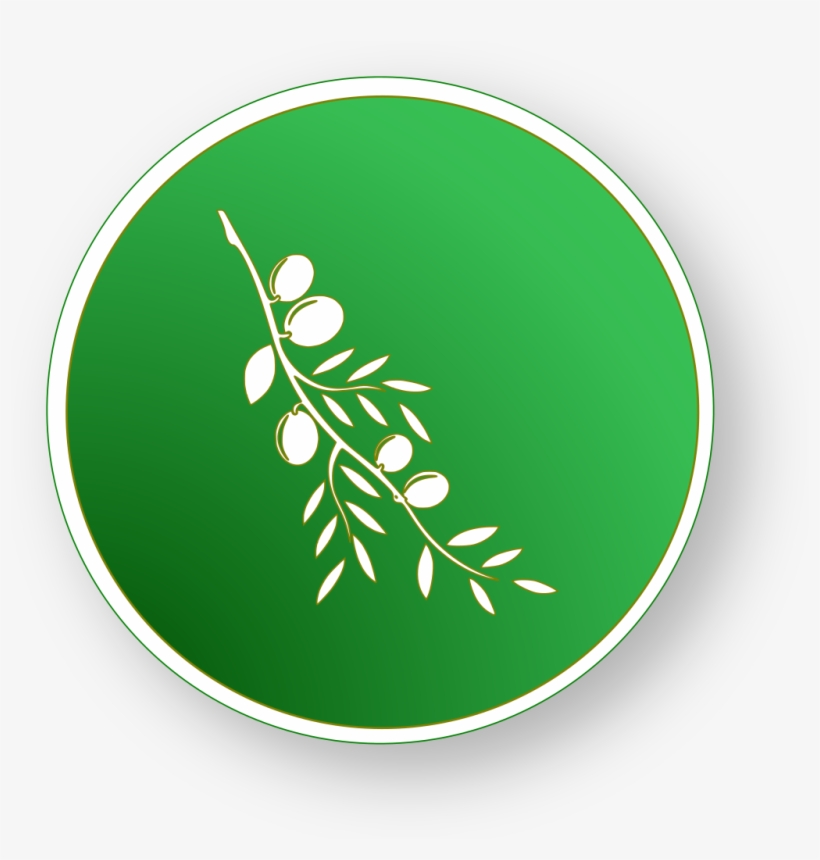 Olive - Circle - Free Transparent PNG Download - PNGkey
