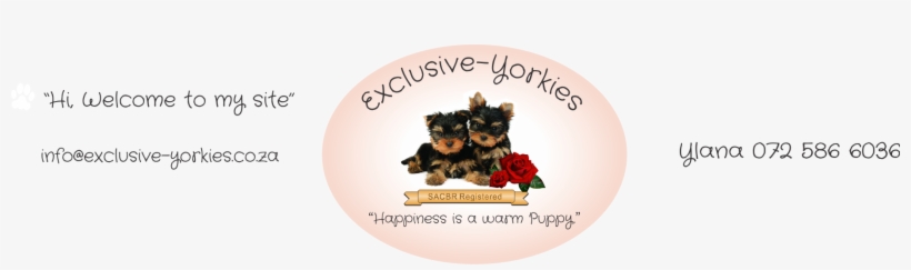 Logo - Yorkshire Terrier - Free Transparent PNG Download - PNGkey