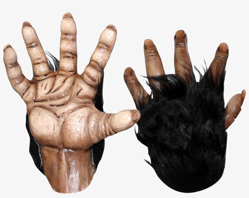 Chimp Brown Hands - Chimp Hands - Free Transparent PNG Download - PNGkey