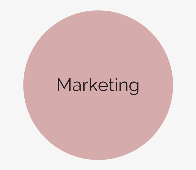 Mark Trans - Circle - Free Transparent PNG Download - PNGkey