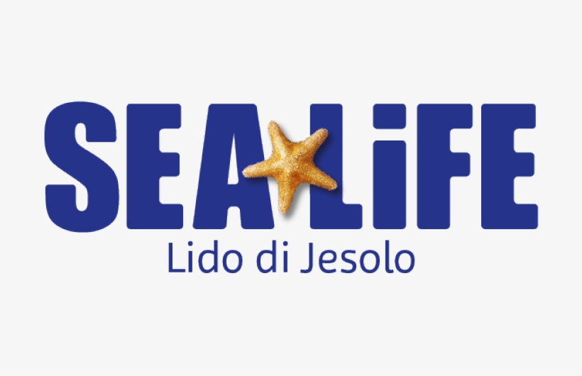 7 / - Sea Life Trust - Free Transparent PNG Download - PNGkey