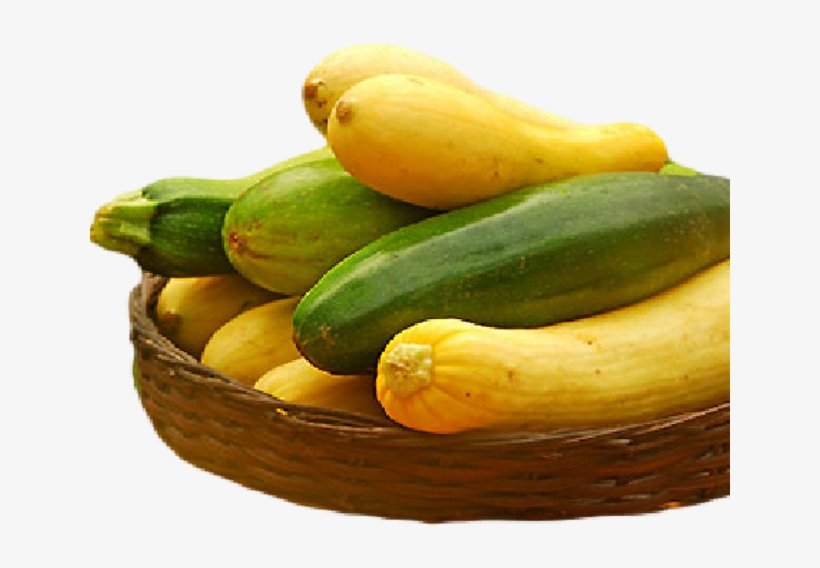 Zucchini - Free Transparent PNG Download - PNGkey