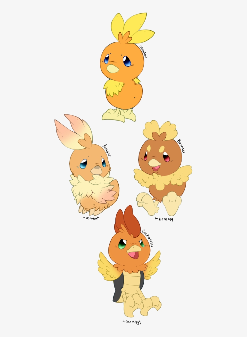 “remember Those Torchic Variants From A While Ago I - Torchic ...