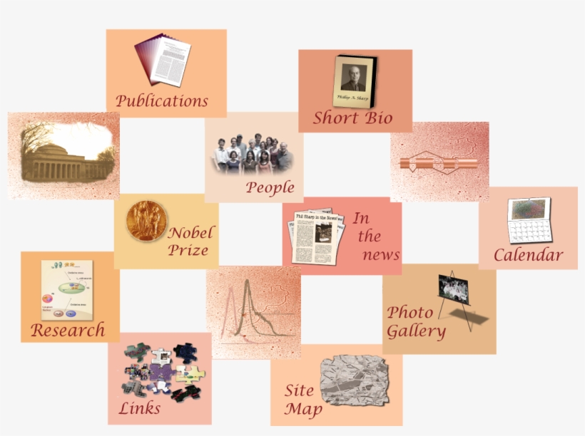 Supplementary Data Phil Sharp's Cv 30th Reunion Picsp-day - Paper ...