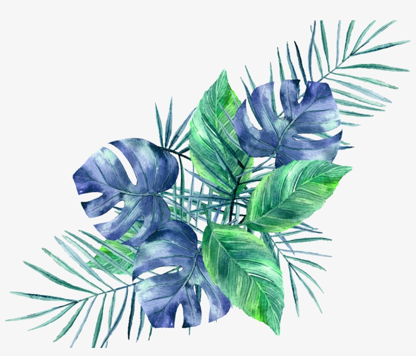 Vector Smart Object - Watercolor Painting - Free Transparent PNG ...