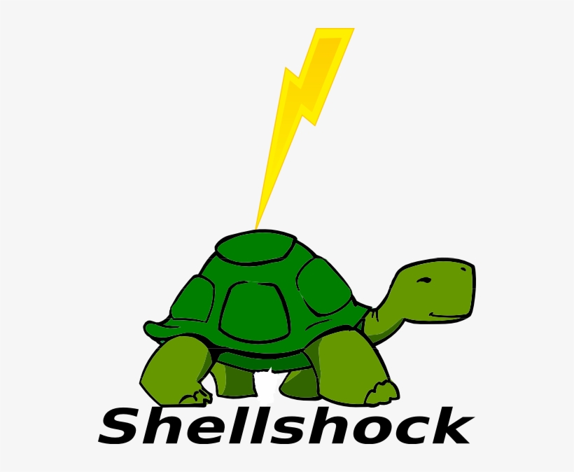 Turtle Cartoon Side View - Free Transparent PNG Download - PNGkey