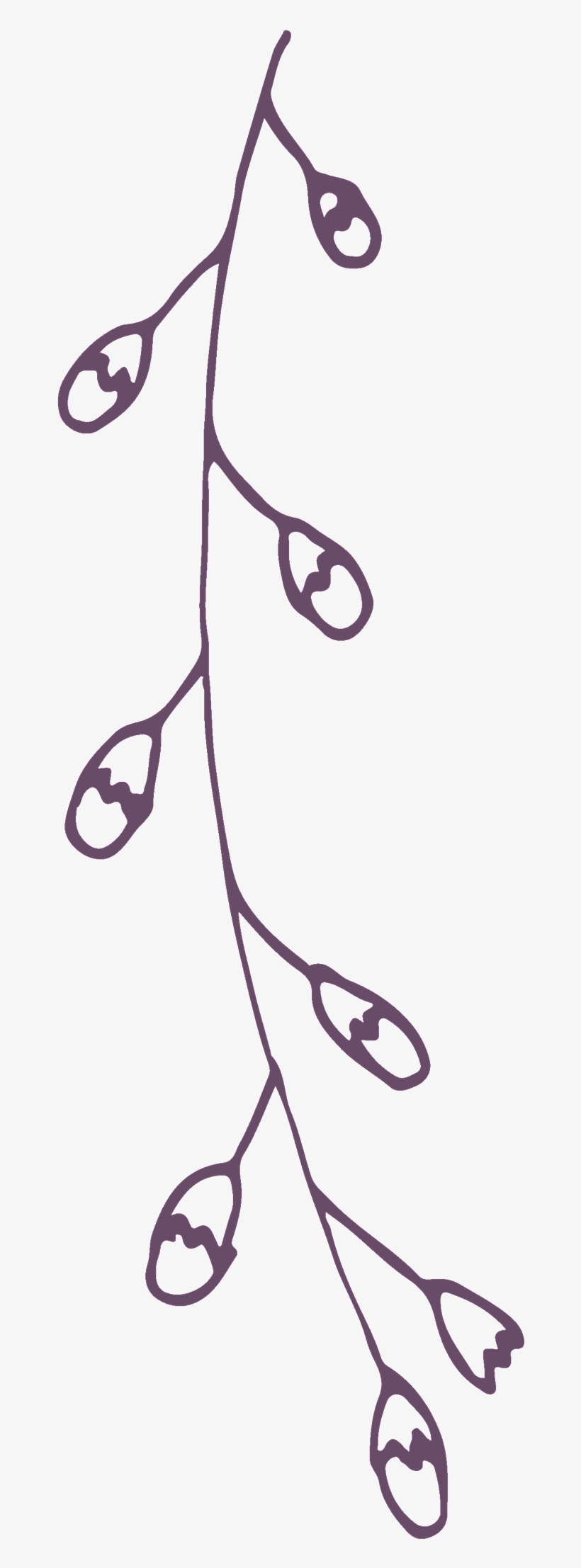 Simple And Elegant Lines Of Transparent Decorative - Flower - Free ...