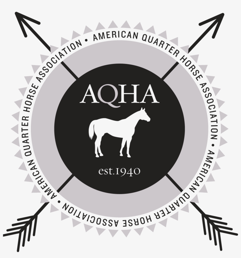 Aqha Arrow Logos - Triton Bay Wealth Advisors - Free Transparent PNG ...