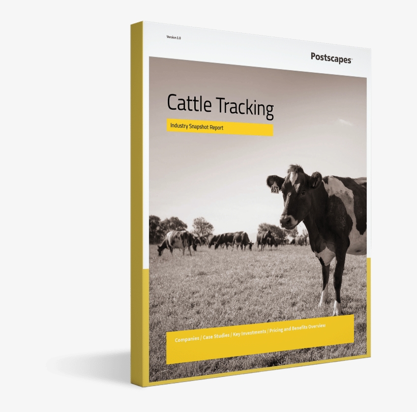 Cattle Tracking Cover - Free Transparent PNG Download - PNGkey