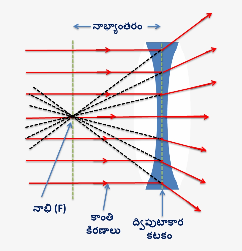 Diverging Rays - Diagram - Free Transparent PNG Download - PNGkey