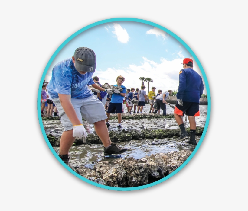 Give Back - Fun - Free Transparent PNG Download - PNGkey