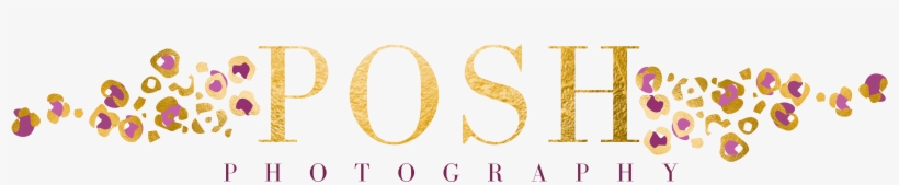 Posh Photography - Calligraphy - Free Transparent PNG Download - PNGkey