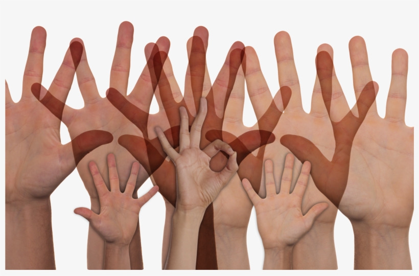 Volunteers - Hands Up - Participate - Free Transparent PNG Download ...