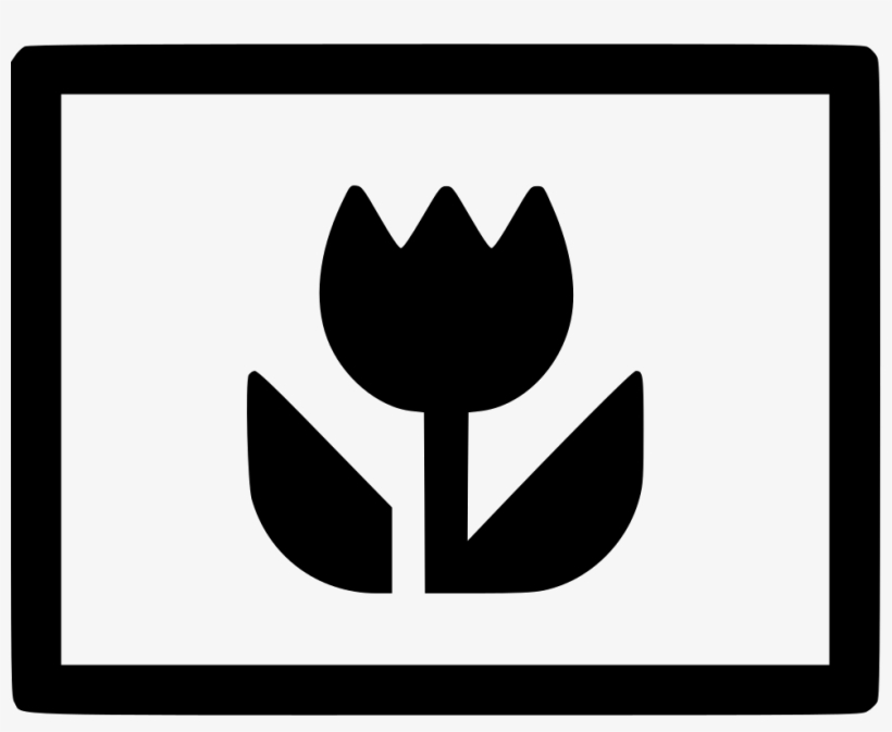 Png File - Macro Photography Icon - Free Transparent PNG Download - PNGkey