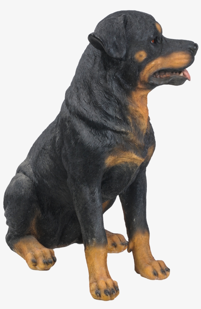 Rottweiler - Free Transparent PNG Download - PNGkey