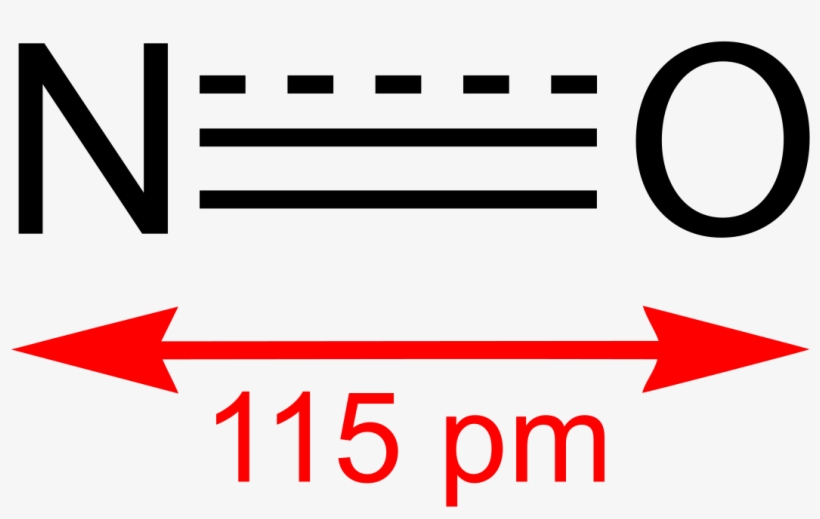 Nitric Oxide - Free Transparent PNG Download - PNGkey