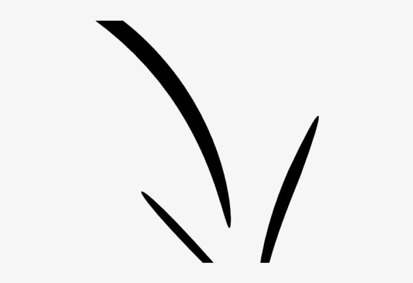 Arrow Clipart Fancy - Free Transparent PNG Download - PNGkey