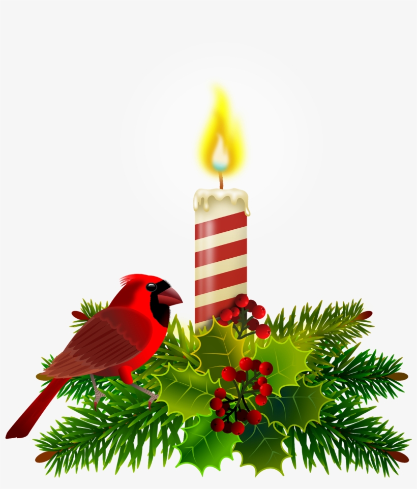 Ornamento De Natal - Northern Cardinal - Free Transparent PNG Download ...