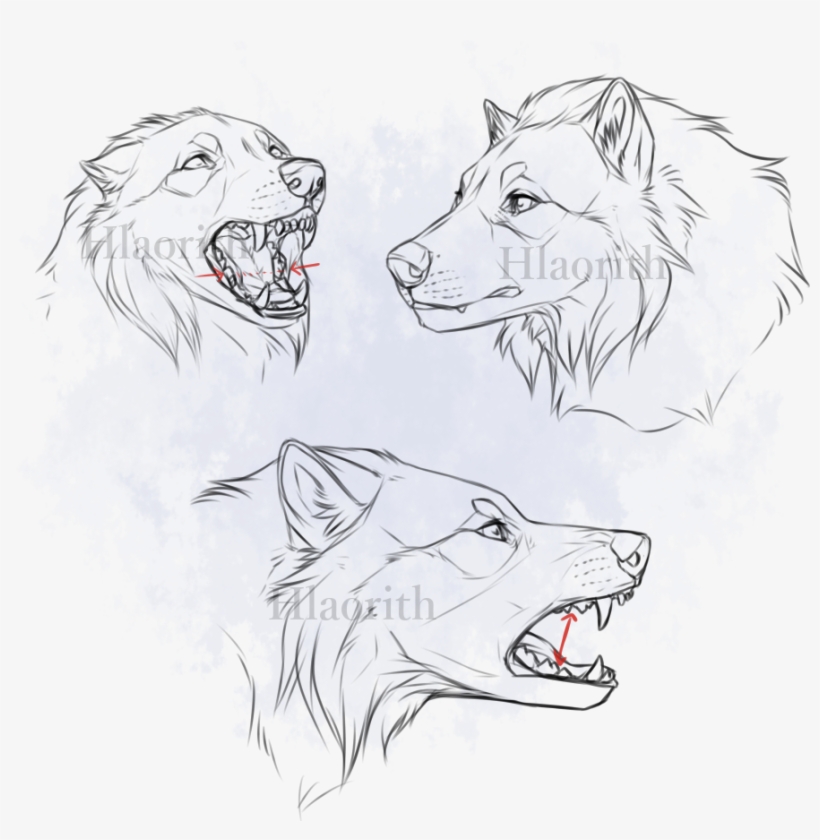 Tokota Faces By Hlaorith - Drawing - Free Transparent PNG Download - PNGkey
